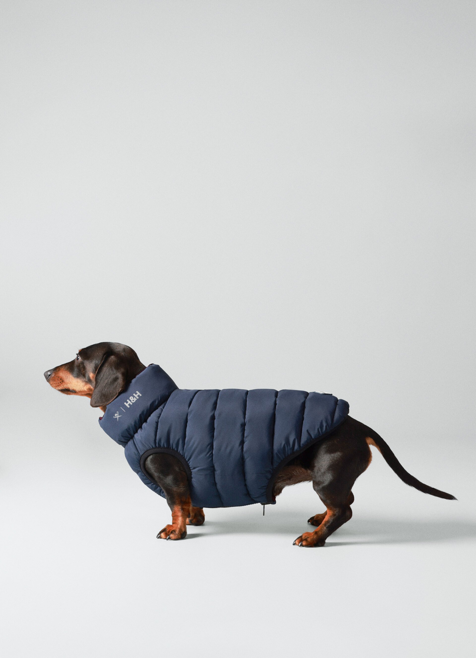REVERSIBLE DOWN JACKET FOR DOGS - SMALL | Hackett