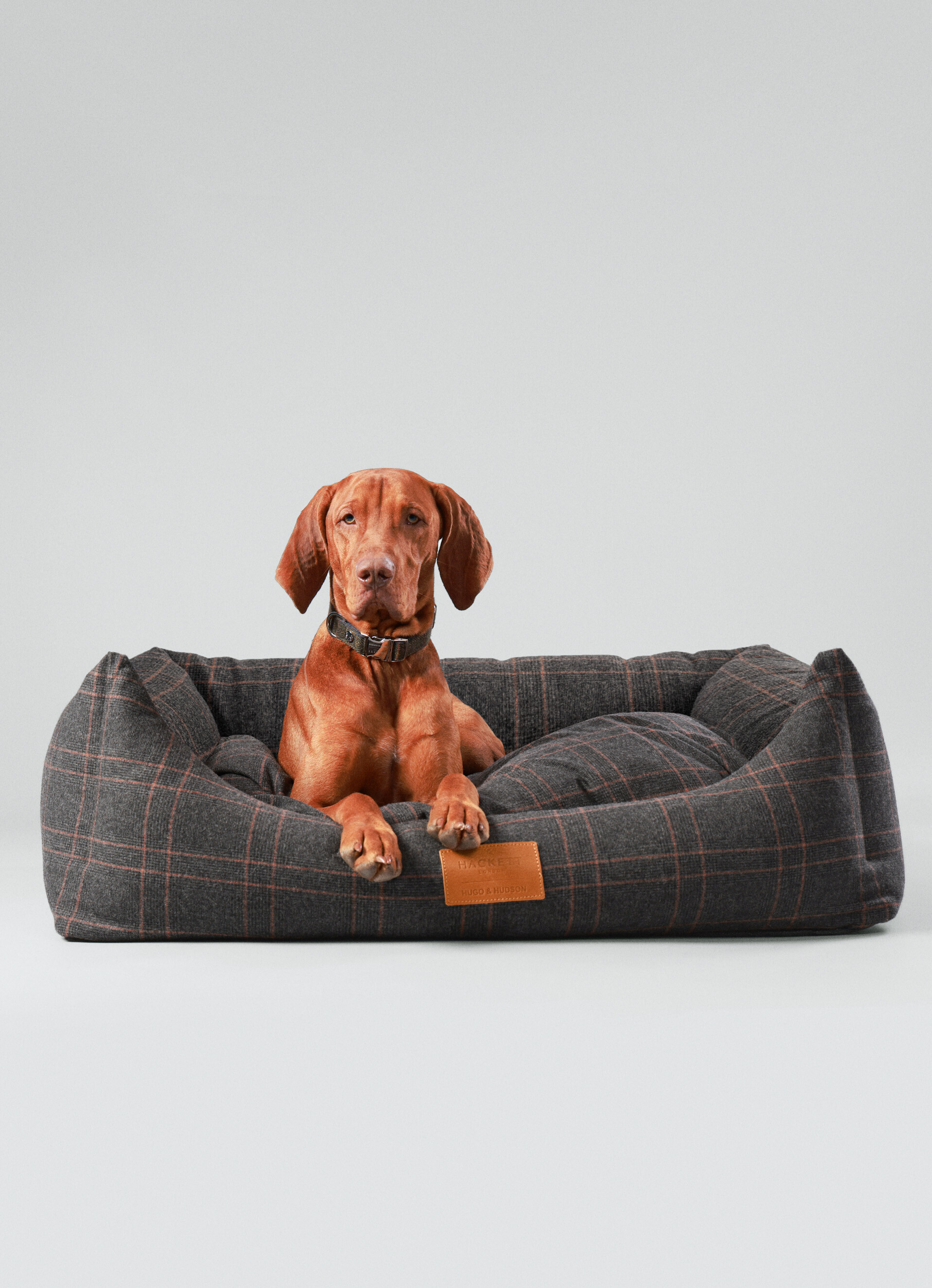 Cama Para Perros De Tweed - Mediana | Hackett London